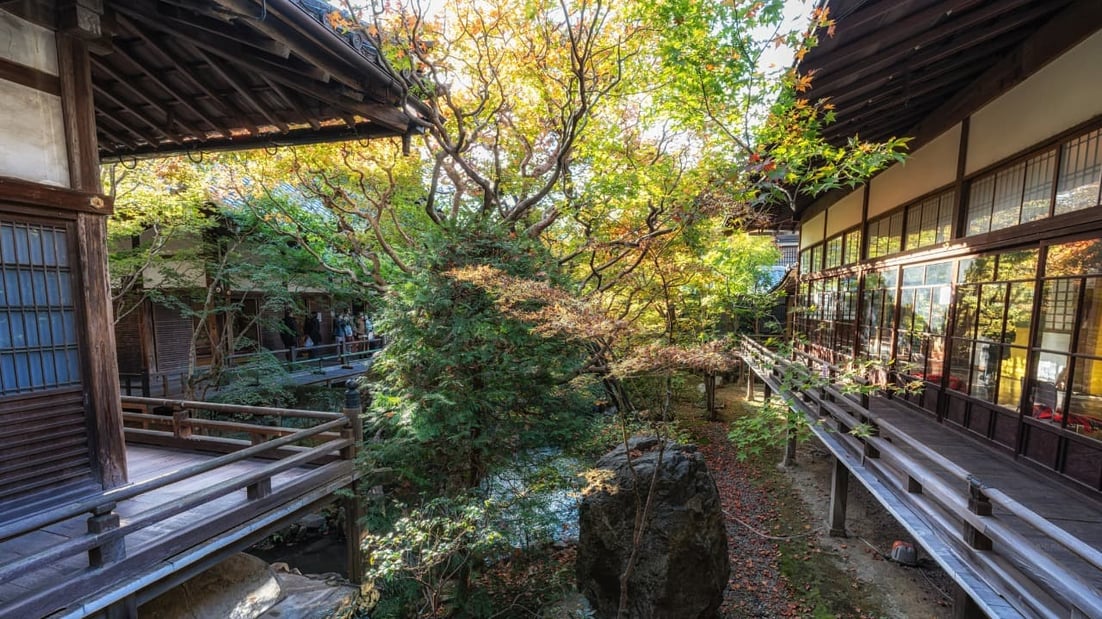 Eikando Temple: A Detailed Guide to Its History and Overview